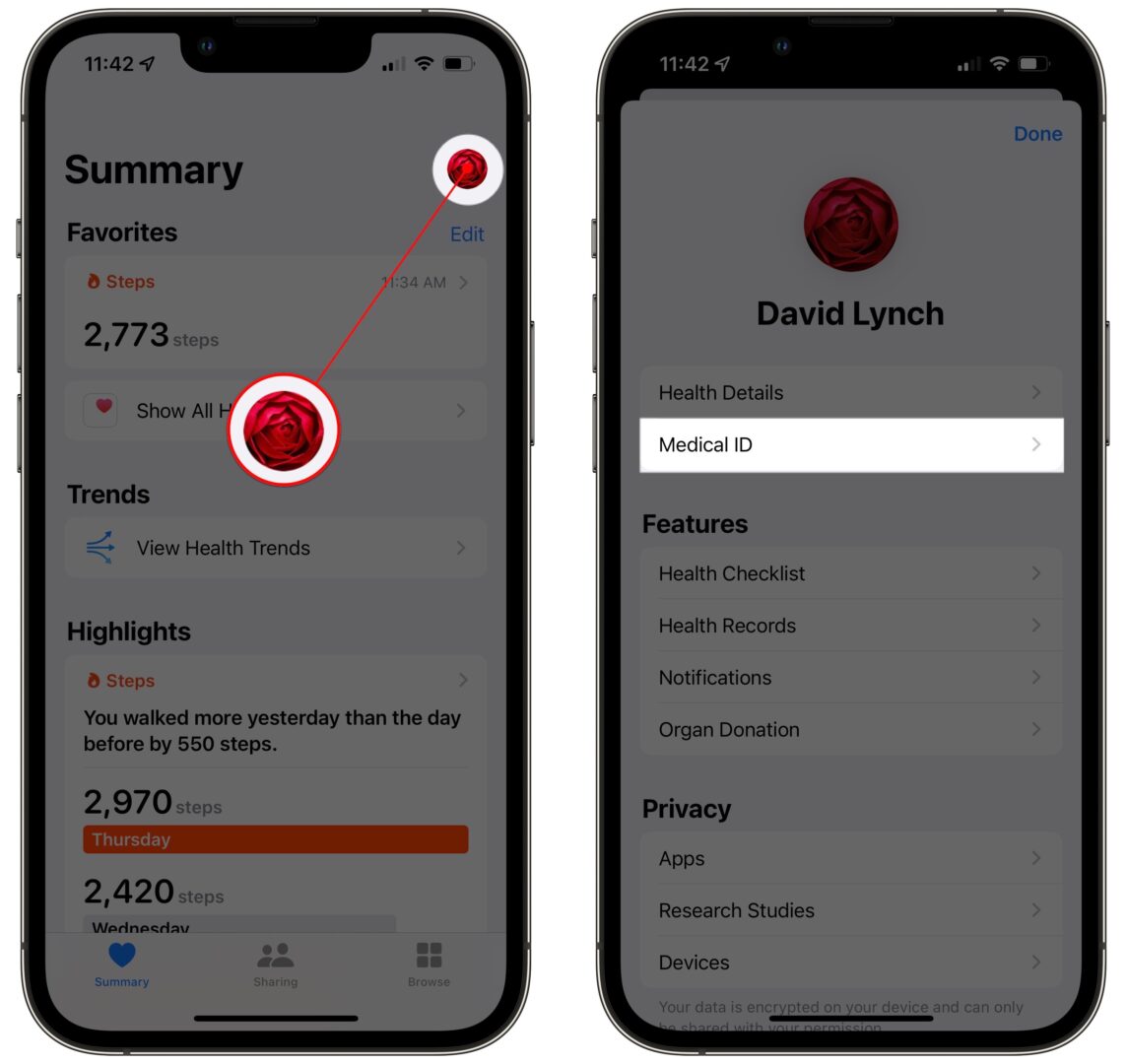 How Do I Set Up Medical ID On An iPhone? Here's The Truth!