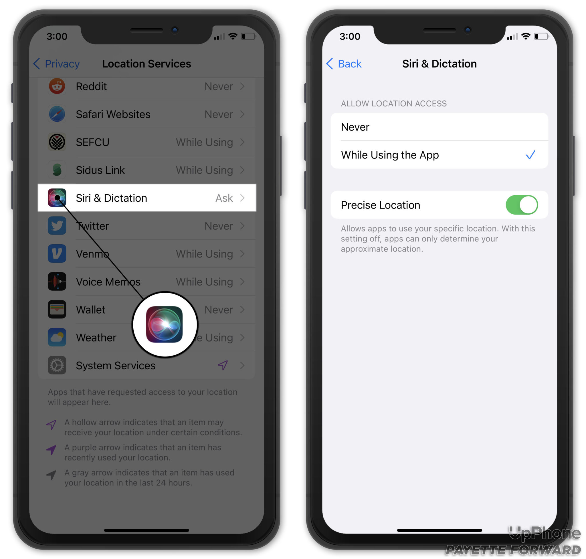 Siri Not Working On iPhone? Here’s The Real Fix! | Payette Forward