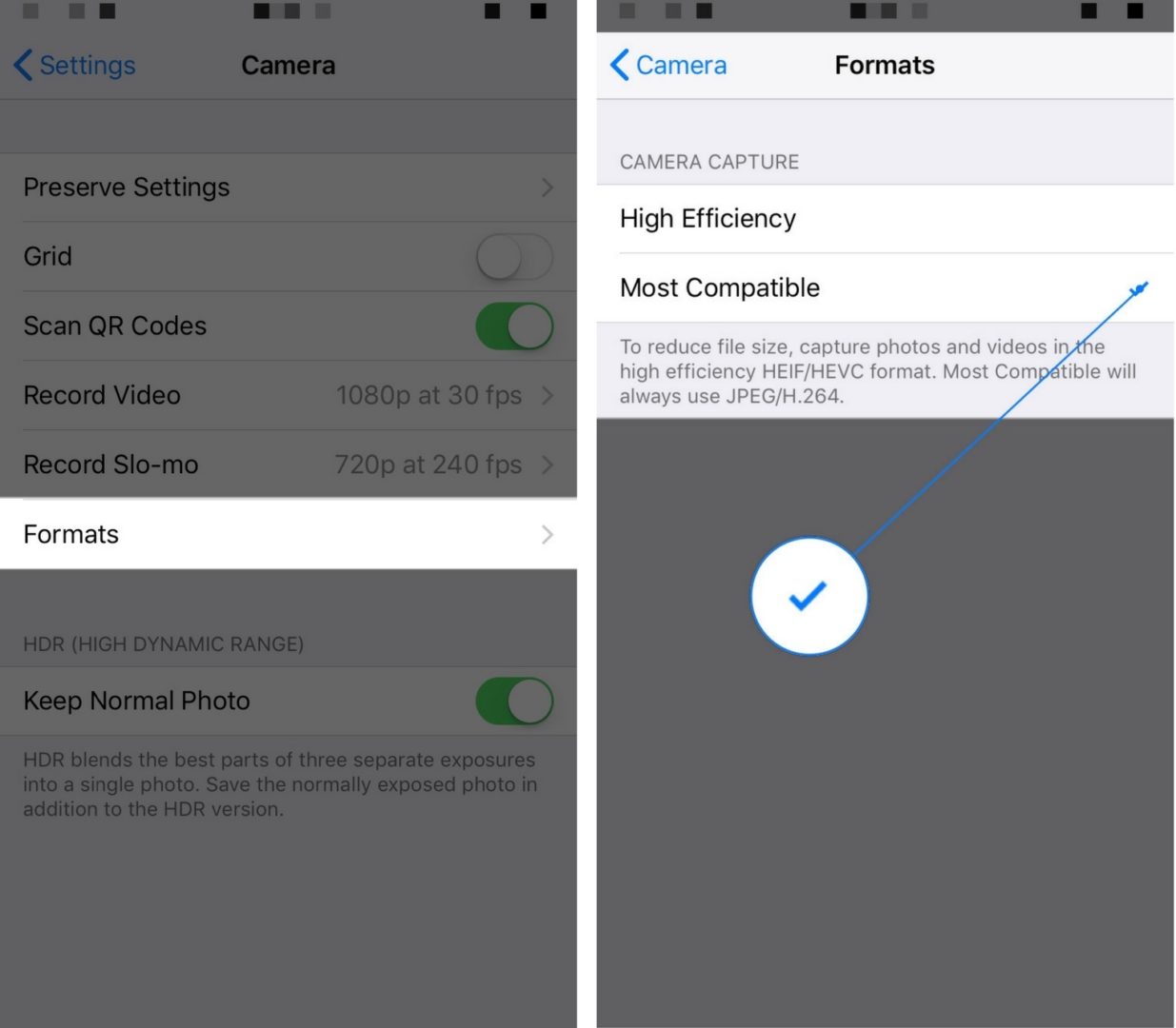Camera Format Changed To High Efficiency On iPhone? The Fix!