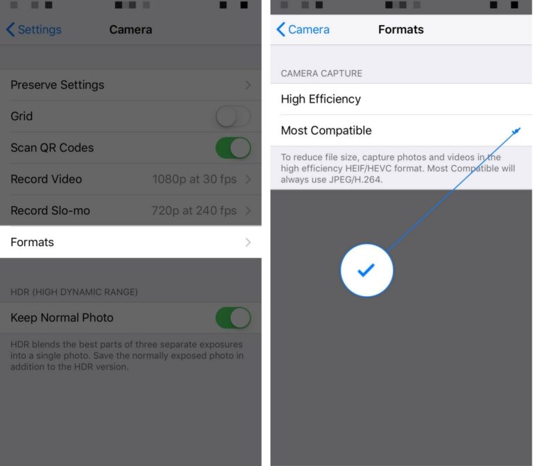 Camera Format Changed To High Efficiency On iPhone? The Fix!
