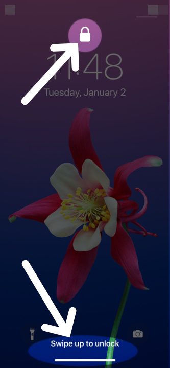 My iPhone X Won't Unlock! Here's The Real Fix. | Payette Forward