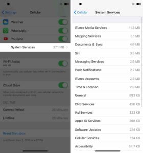 How To Check iPhone Data Usage: The Quick Guide!