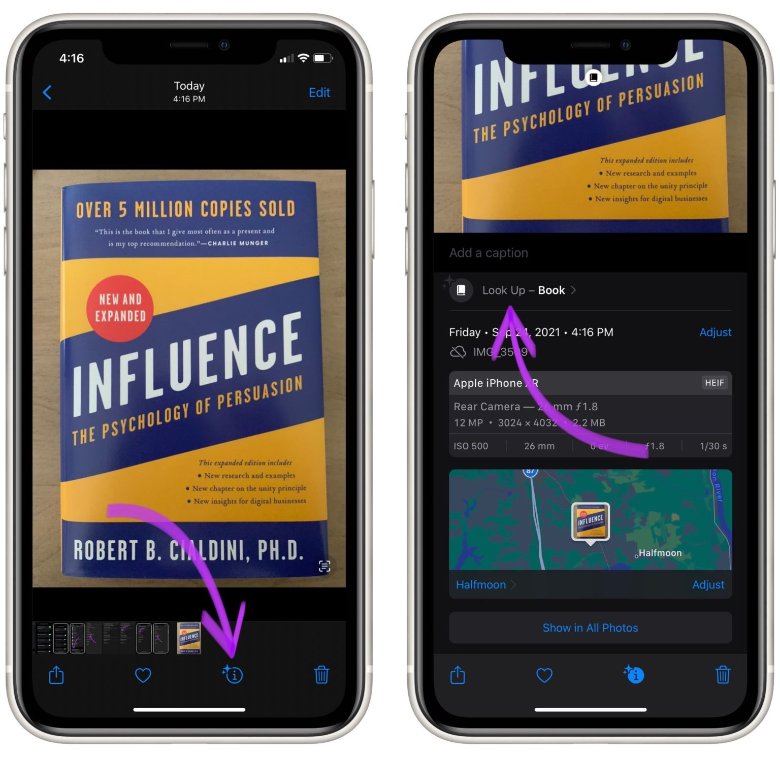 Everything You Need To Know About Visual Look Up On iPhone