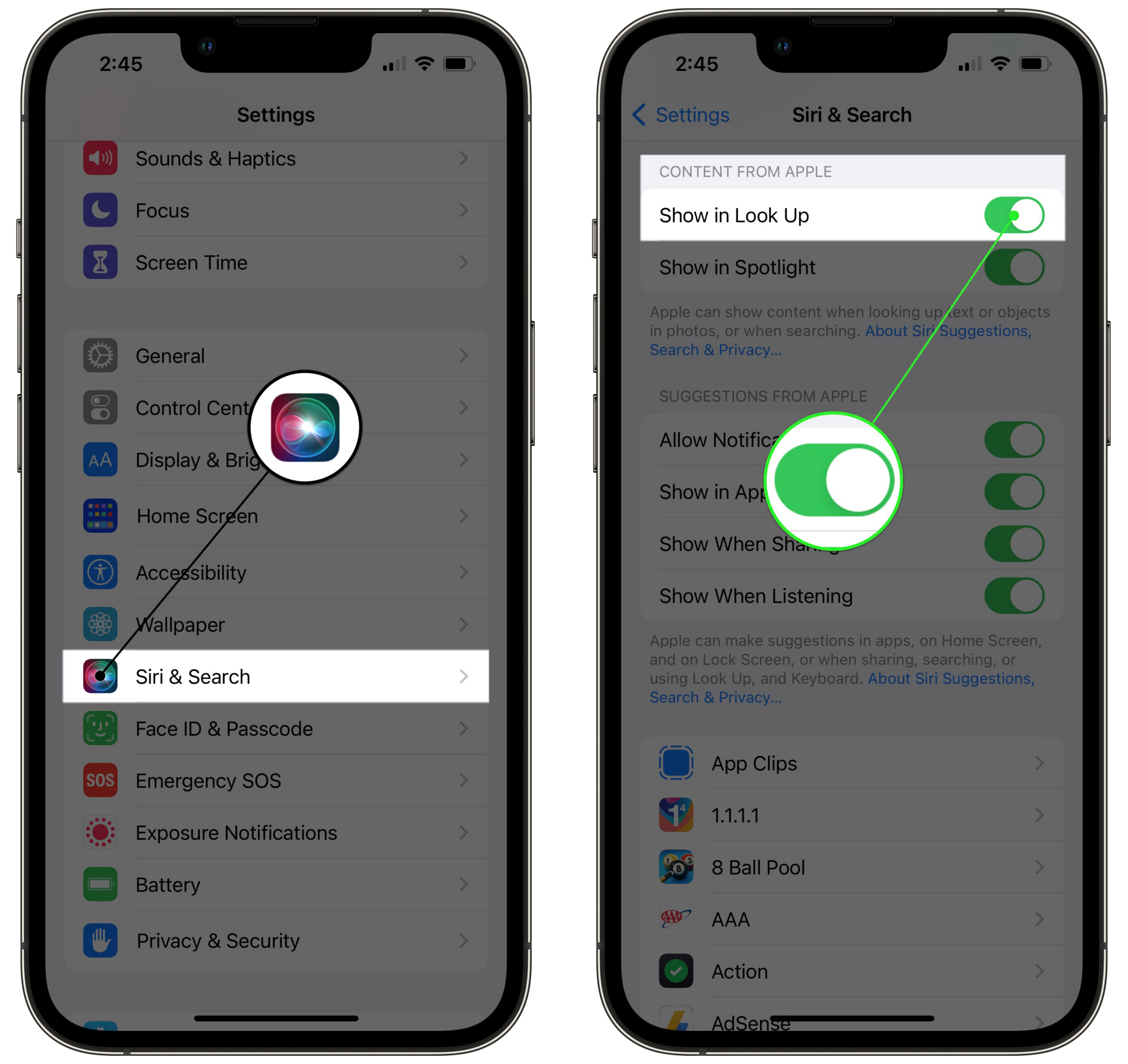 Everything You Need To Know About Visual Look Up On iPhone