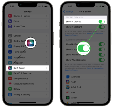 Everything You Need To Know About Visual Look Up On iPhone